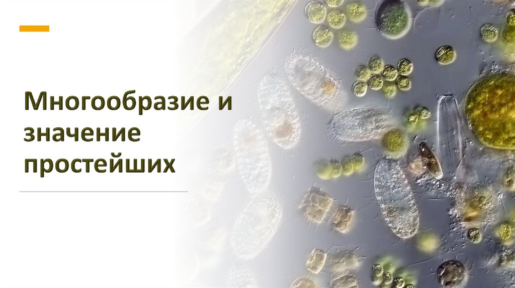 https___school.mos.ru_ej_attachments_files_218_871_088_original_%D0%9C ...