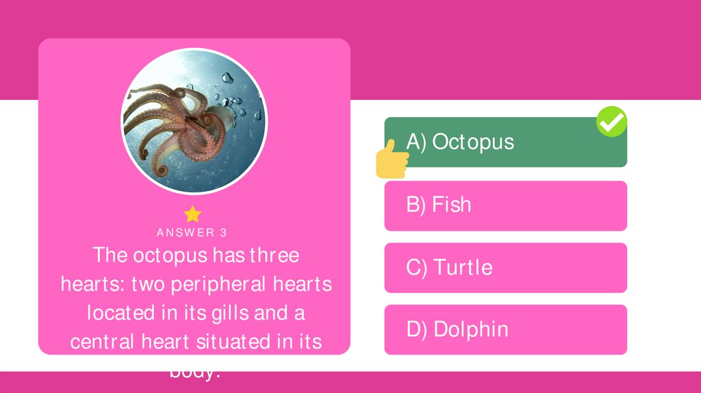 Which animal can sleep for up to 3 years (1) - online presentation