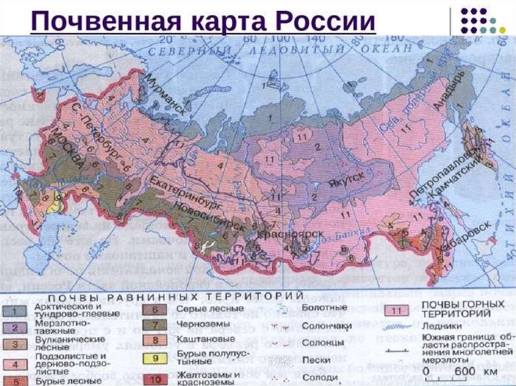 https___school.mos.ru_ej_attachments_files_221_048_213_original_%D0%94 ...