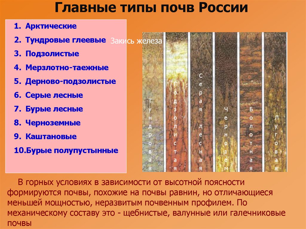 https___school.mos.ru_ej_attachments_files_221_048_213_original_%D0%94 ...