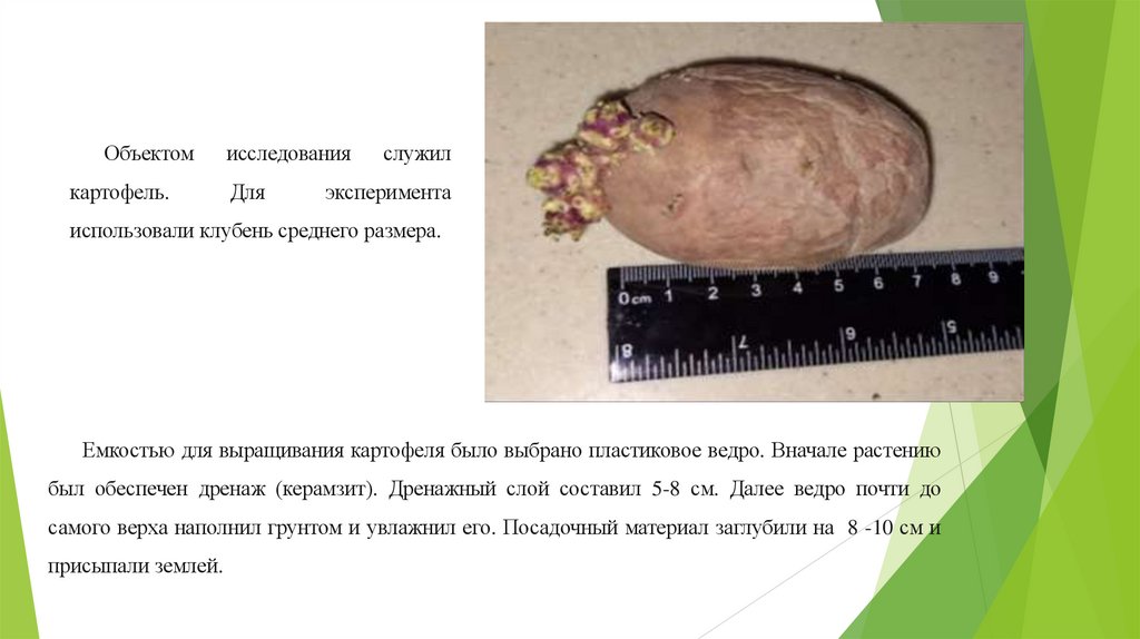 проект презентация онлайн