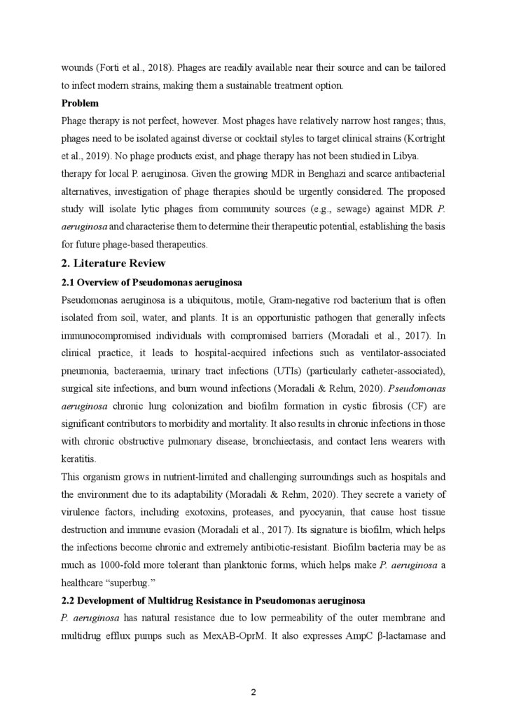 Tahani's Proposal-V6 (2) - online presentation