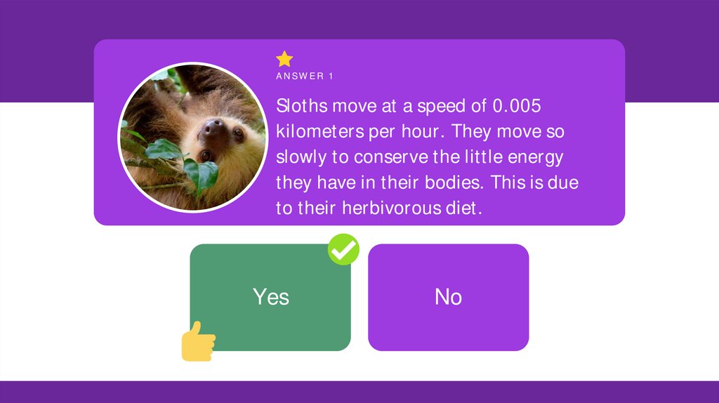 Which animal can sleep for up to 3 years - презентация онлайн