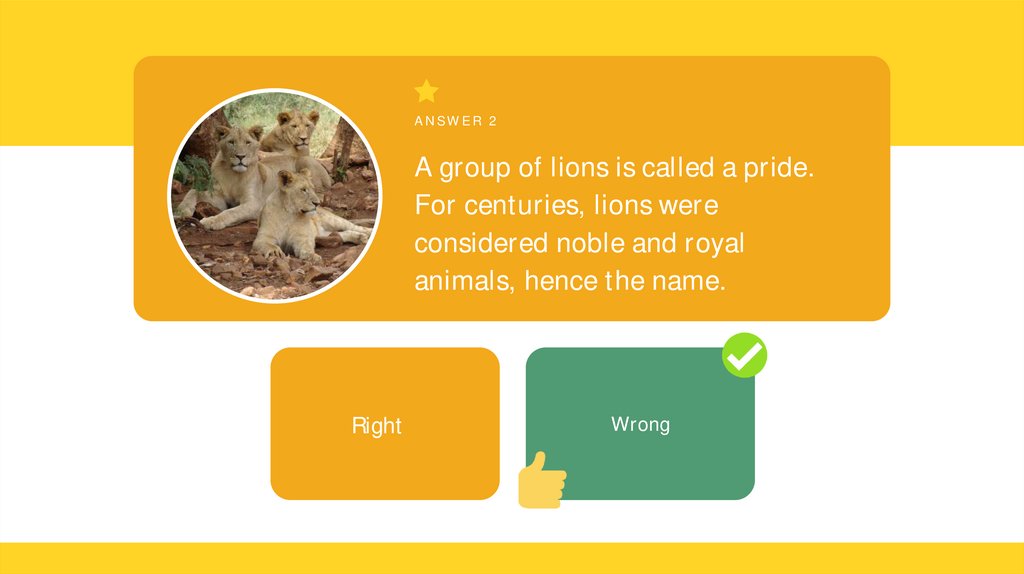 Which animal can sleep for up to 3 years - презентация онлайн