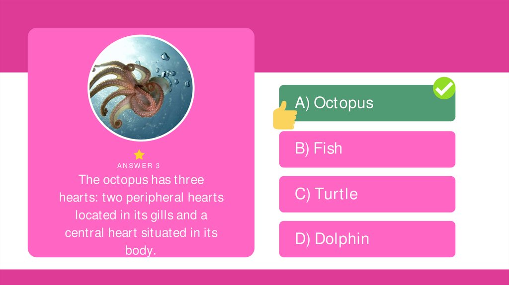 Which animal can sleep for up to 3 years - презентация онлайн