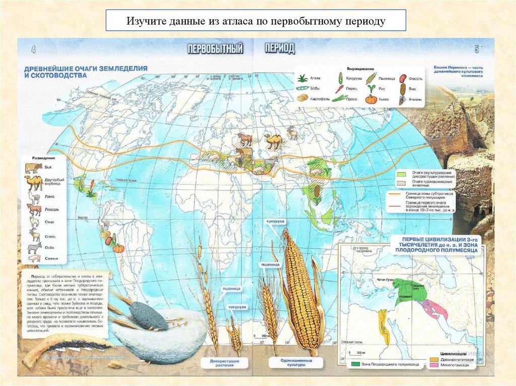 https___authedu.mosreg.ru_ej_attachments_files_043_982_259_original_4 ...