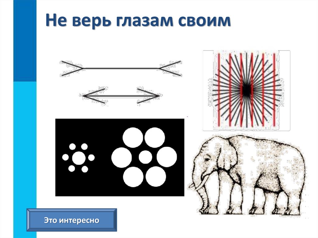 https___school.mos.ru_ej_attachments_files_214_821_219_original_5-1-1 ...