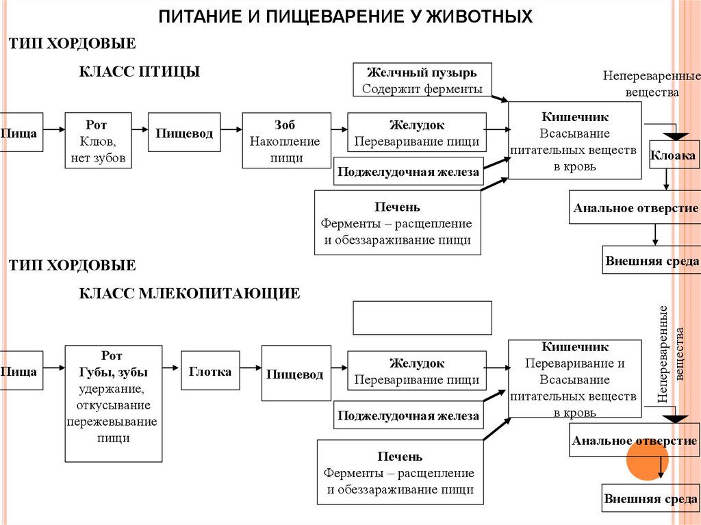 https___school.mos.ru_ej_attachments_files_215_134_570_original_%D0%BF ...