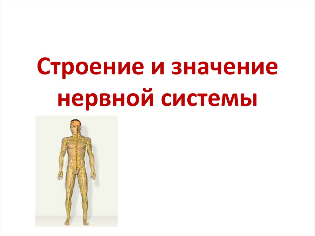 https___authedu.mosreg.ru_ej_attachments_files_043_735_115_original_%D0 ...