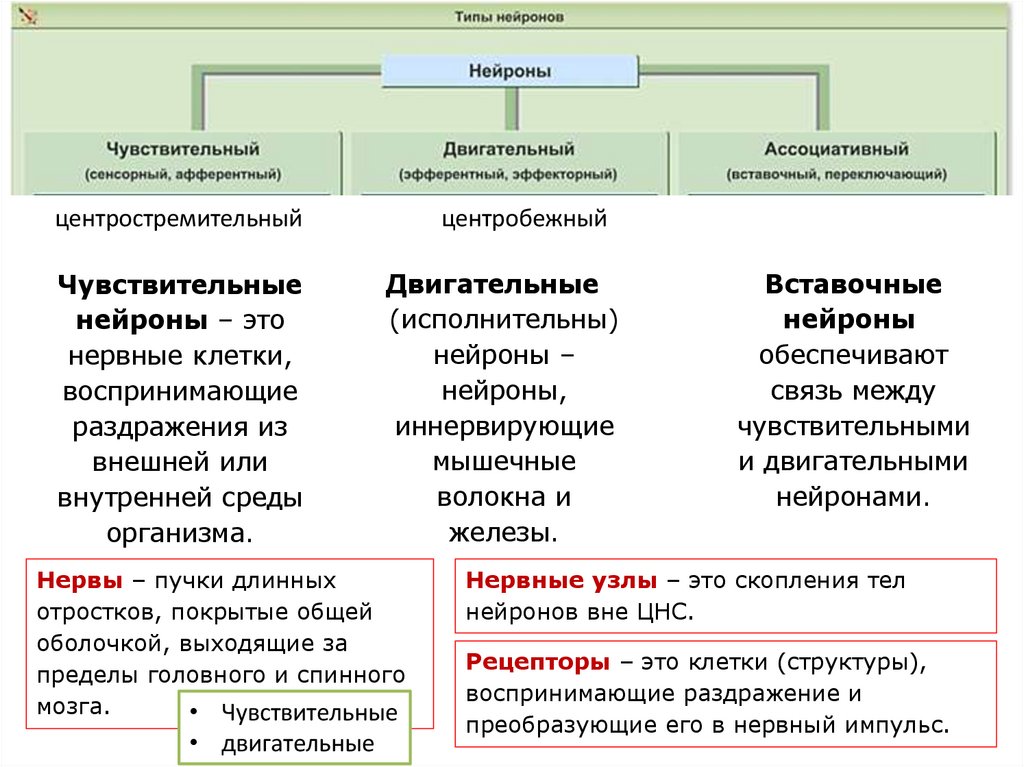 https___authedu.mosreg.ru_ej_attachments_files_043_735_115_original_%D0 ...