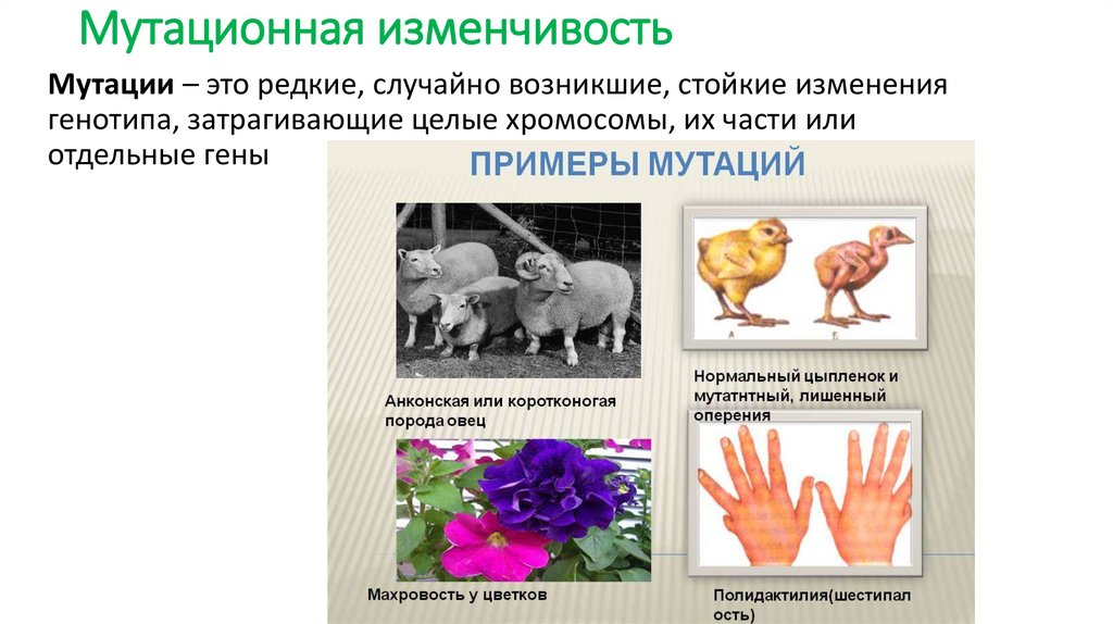 https___school.mos.ru_ej_attachments_files_220_551_316_original_8.%20 ...