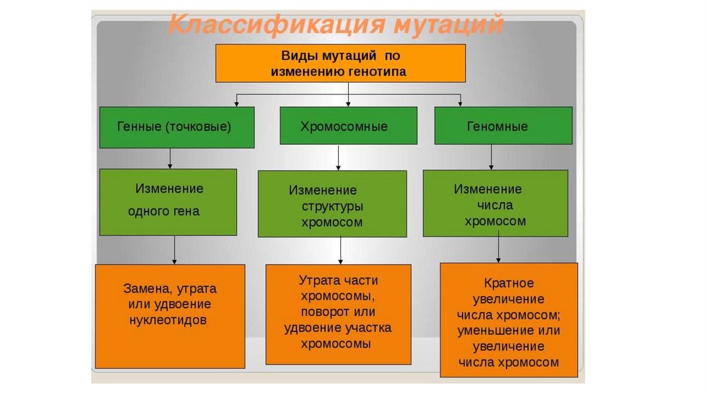 https___school.mos.ru_ej_attachments_files_220_551_316_original_8.%20 ...