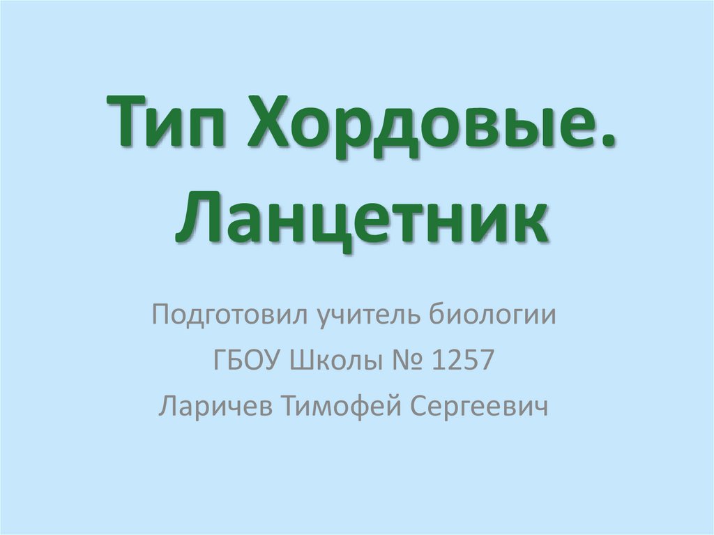 706 ХордовыеЛанцетник - презентация онлайн