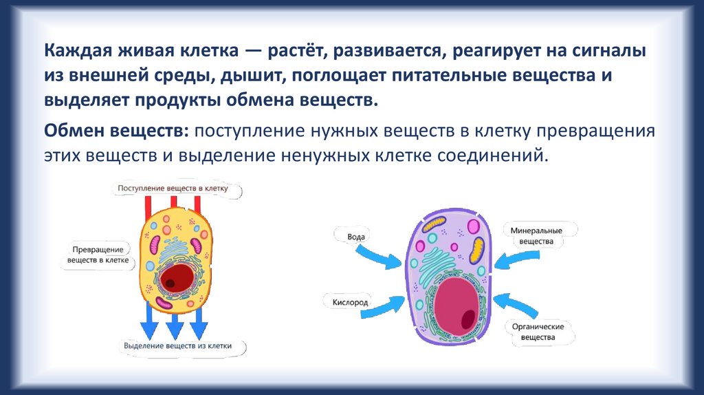 https___school.mos.ru_ej_attachments_files_218_904_745_original_%D0%9A ...