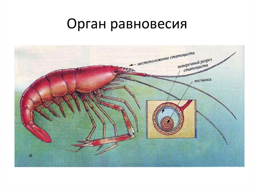 https___myschool.72to.ru_ej_attachments_files_002_543_188_original_%D0 ...