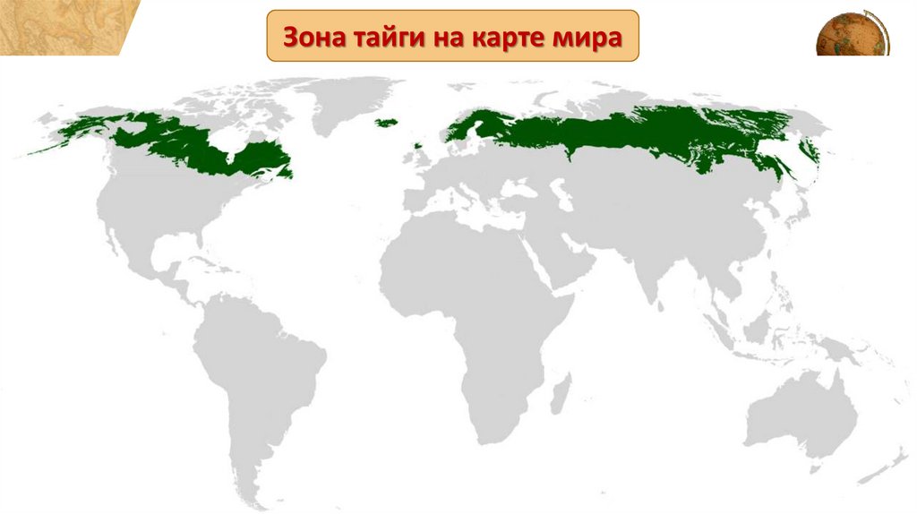Природно хозяйственные зоны россии Тайга презентация онлайн
