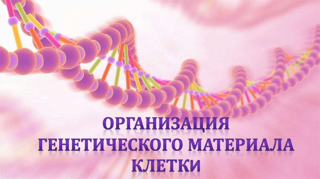 Khromosomy Kletki 1 презентация онлайн