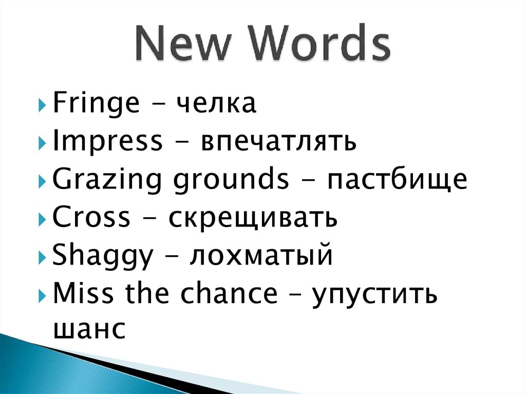 phpxlD9ch_Pet-the-coo - online presentation