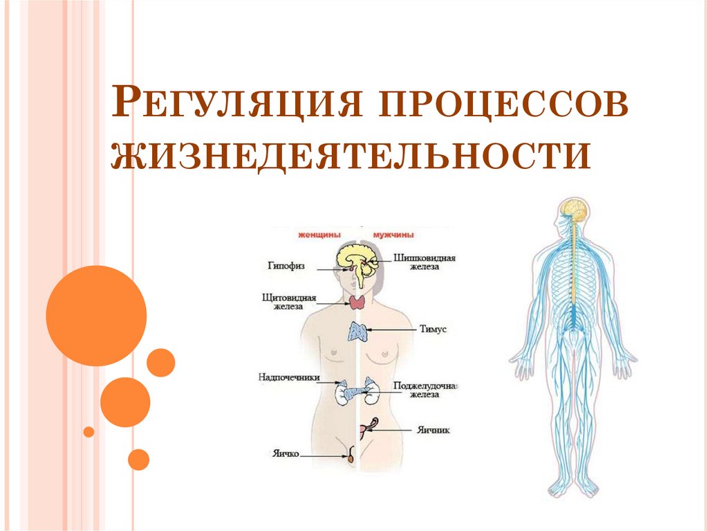 https___school.mos.ru_ej_attachments_files_215_381_438_original_%D0%A3 ...