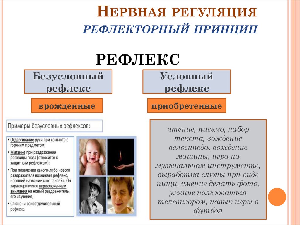 https___school.mos.ru_ej_attachments_files_215_381_438_original_%D0%A3 ...